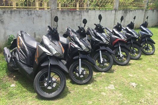 Honda Click 125 CC - Best Bohol Motorcycle Rental - Scooters